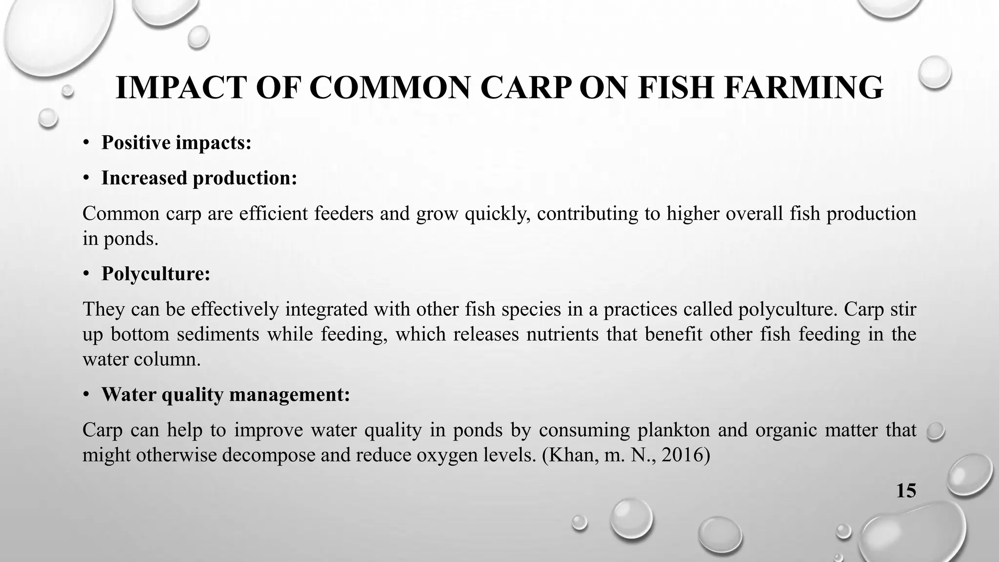 Common carp introduction & Morphology and its behaviour characteristics ...