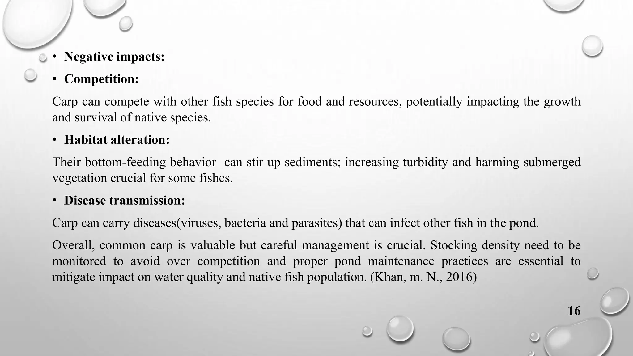 Common carp introduction & Morphology and its behaviour characteristics ...
