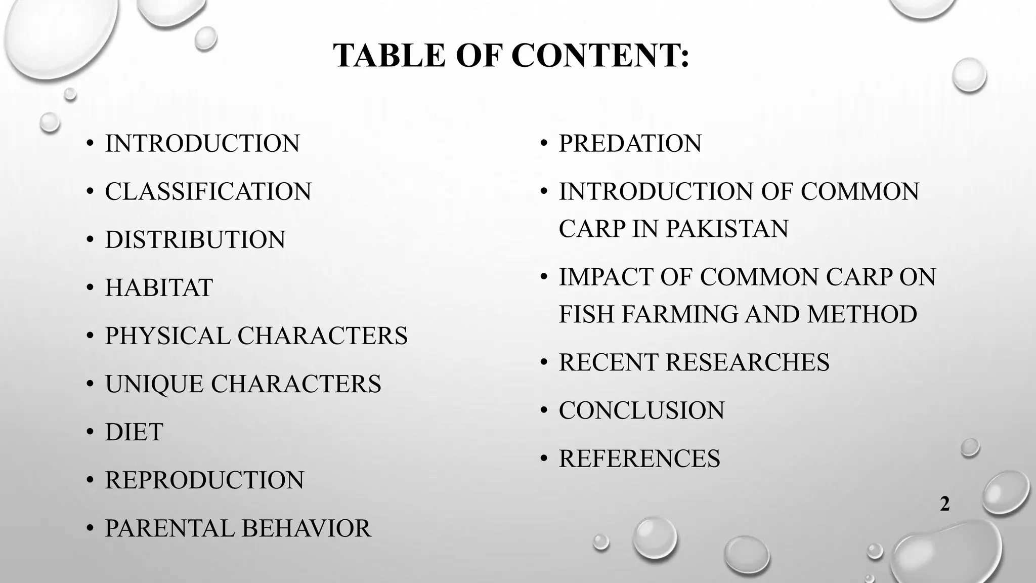 Common carp introduction & Morphology and its behaviour characteristics ...