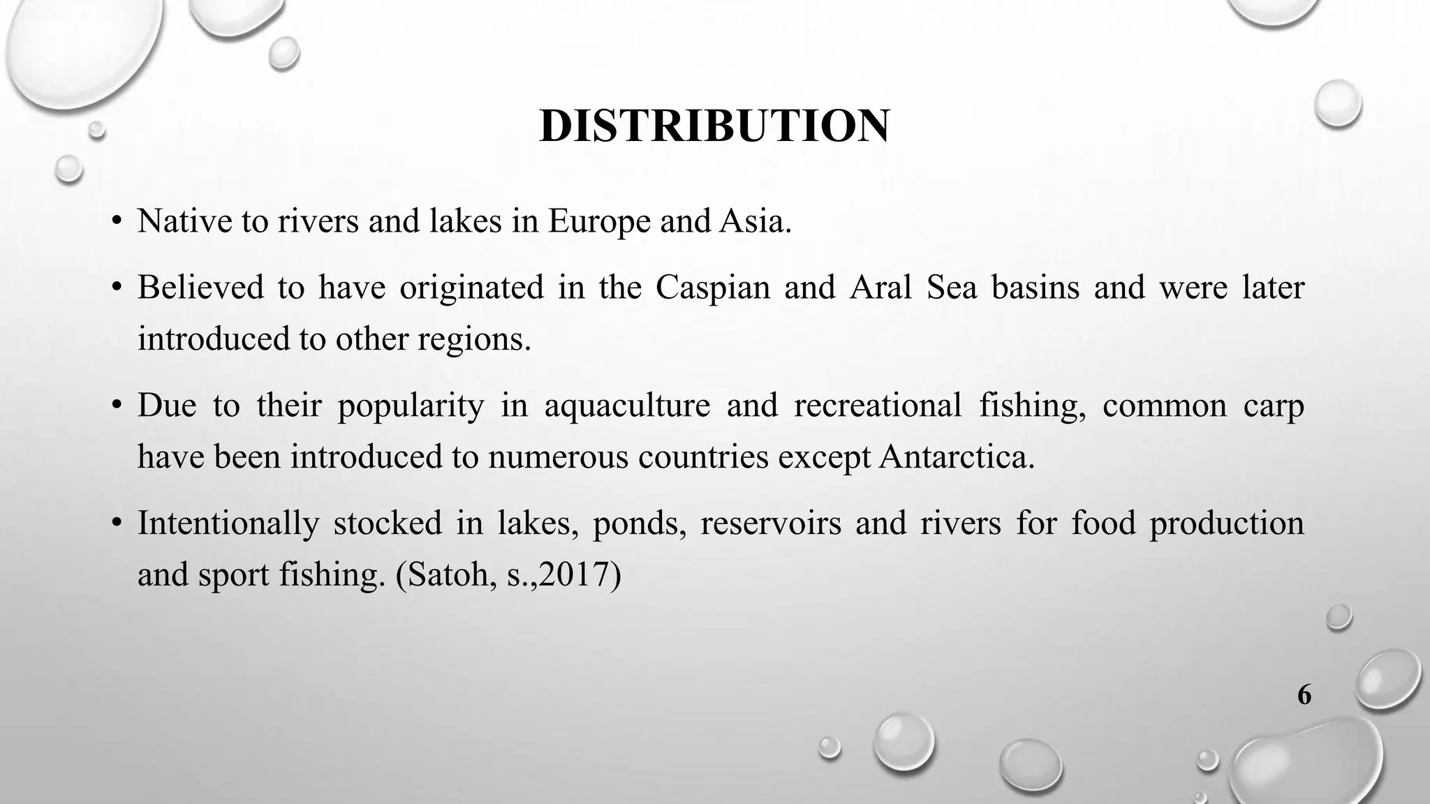 Common carp introduction & Morphology and its behaviour characteristics ...