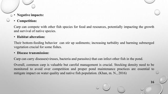 Common carp introduction & Morphology and its behaviour characteristics ...