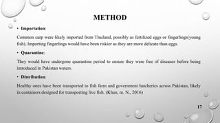 Common carp introduction & Morphology and its behaviour characteristics ...