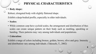 Common carp introduction & Morphology and its behaviour characteristics ...
