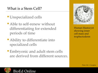 40 stem cell presentation .ppt