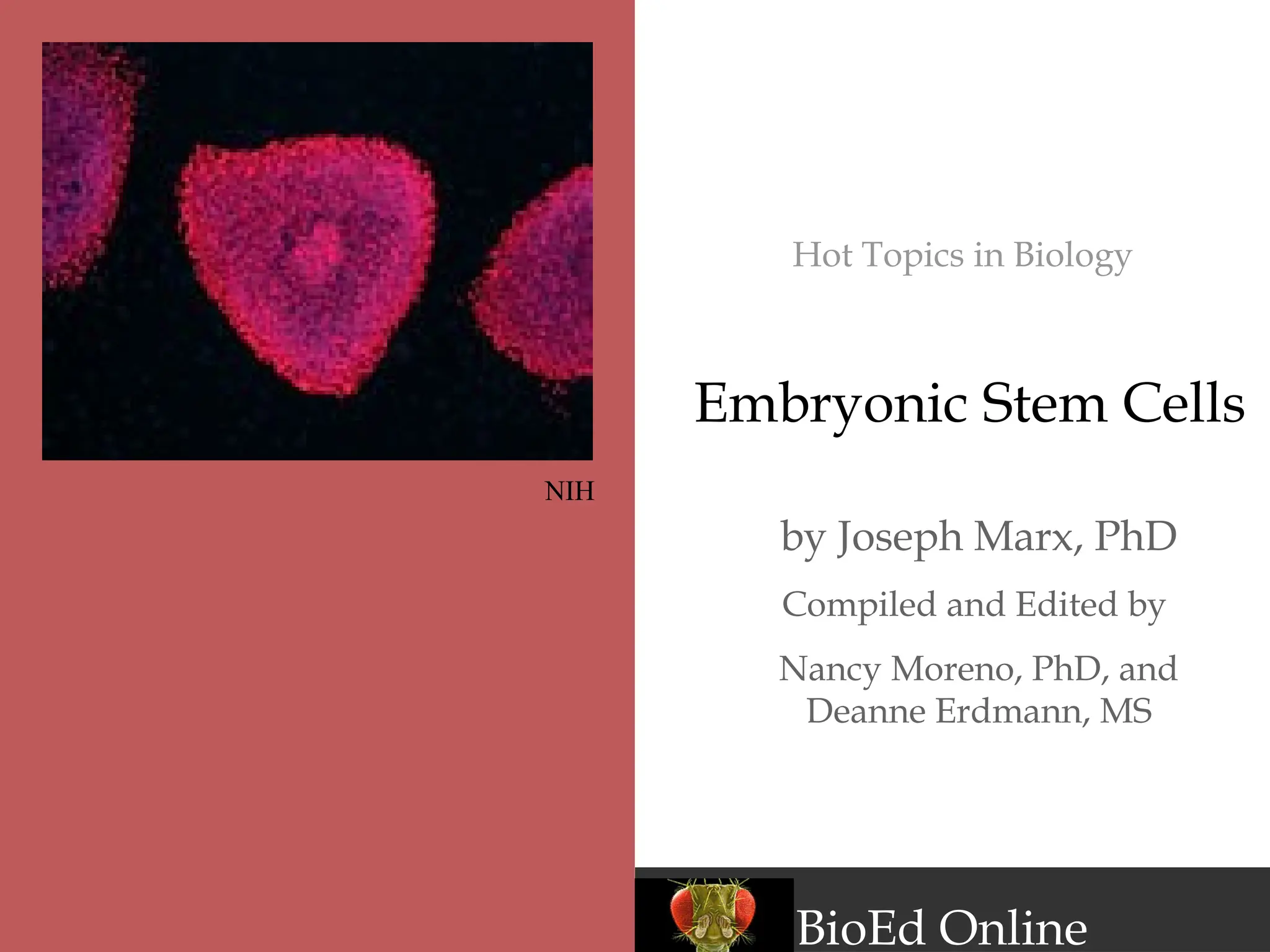 stem cells ppt having different properties | PPT