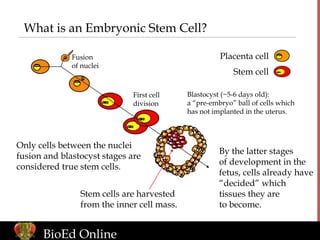 stem cells ppt having different properties | PPT