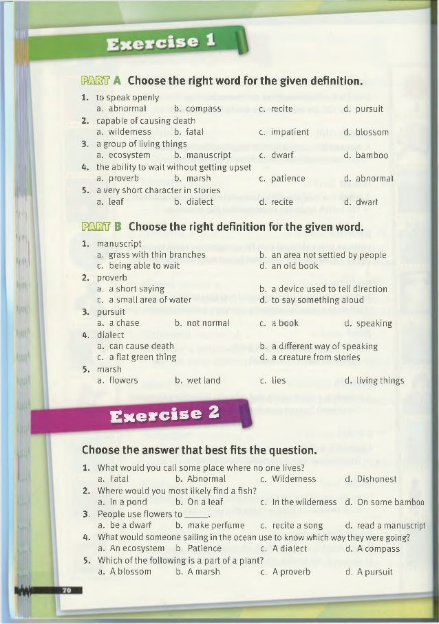 Essential English Words