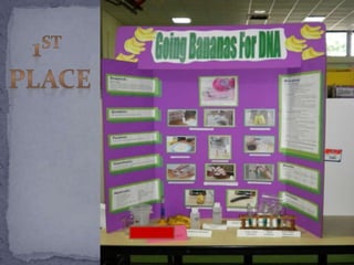 East Elementary Science Fair | PPTX