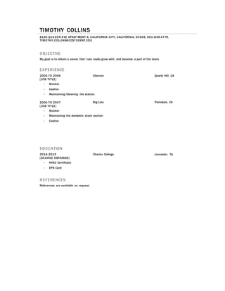 Chronological resume | DOCX