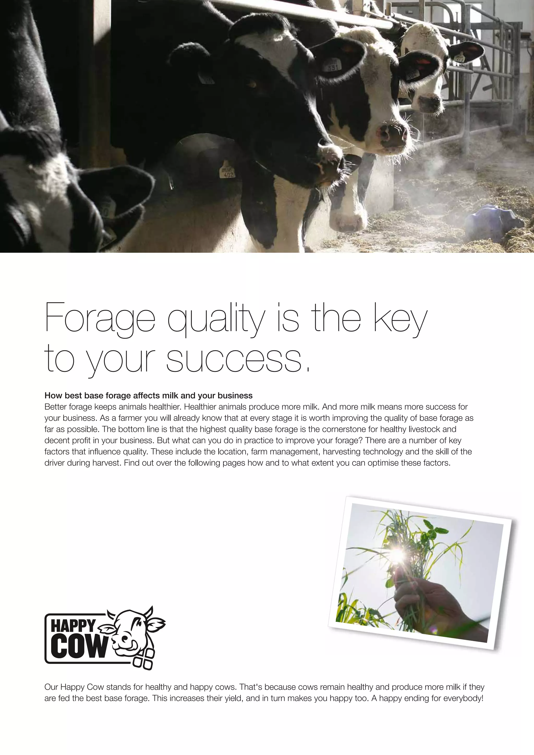 The best forage - Healthy animals. More success. | PDF