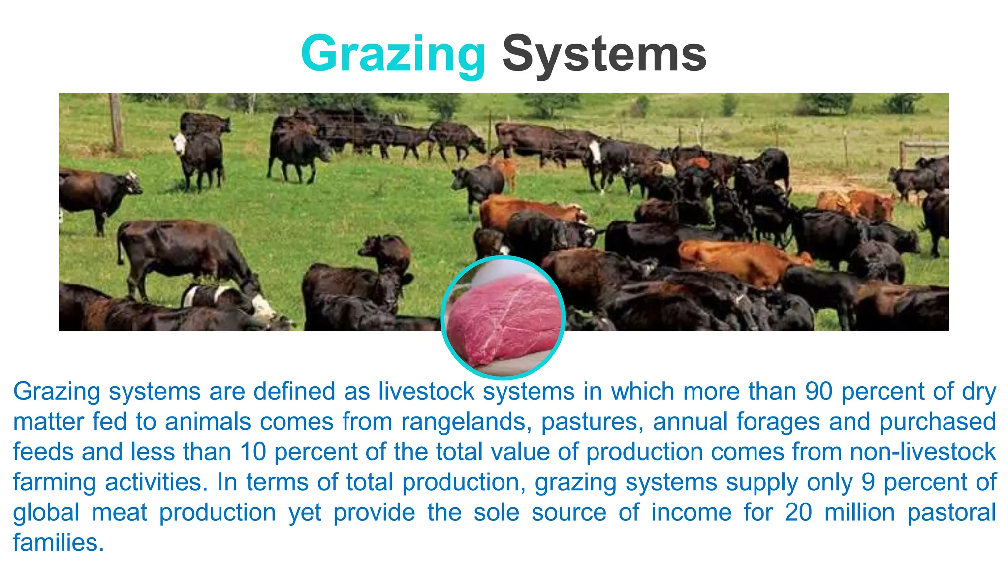 401 - Lecture No. 03 - Meat Production Systems.pptx