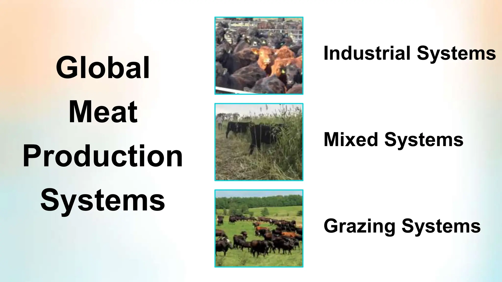 401 - Lecture No. 03 - Meat Production Systems.pptx
