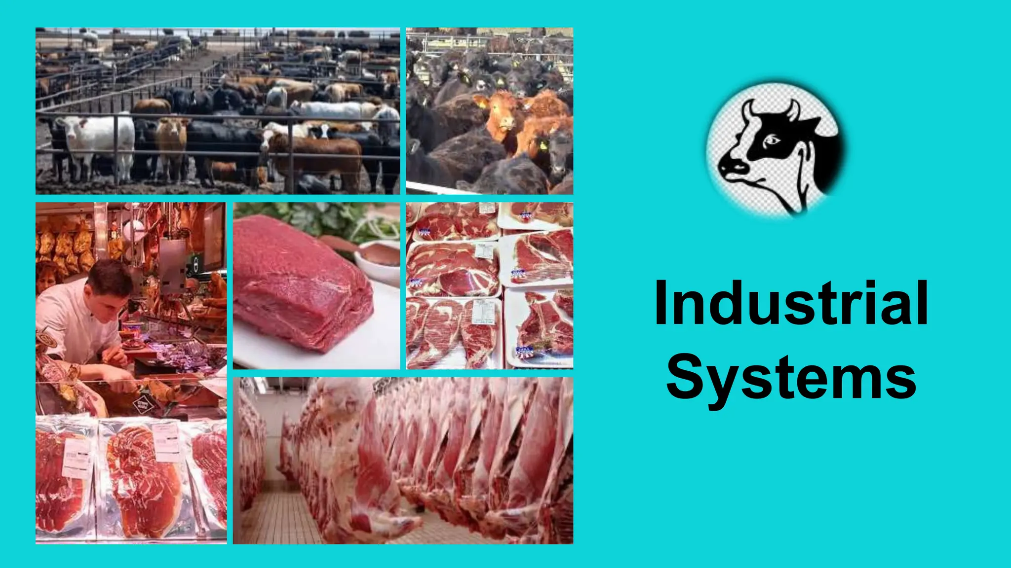 401 - Lecture No. 03 - Meat Production Systems.pptx