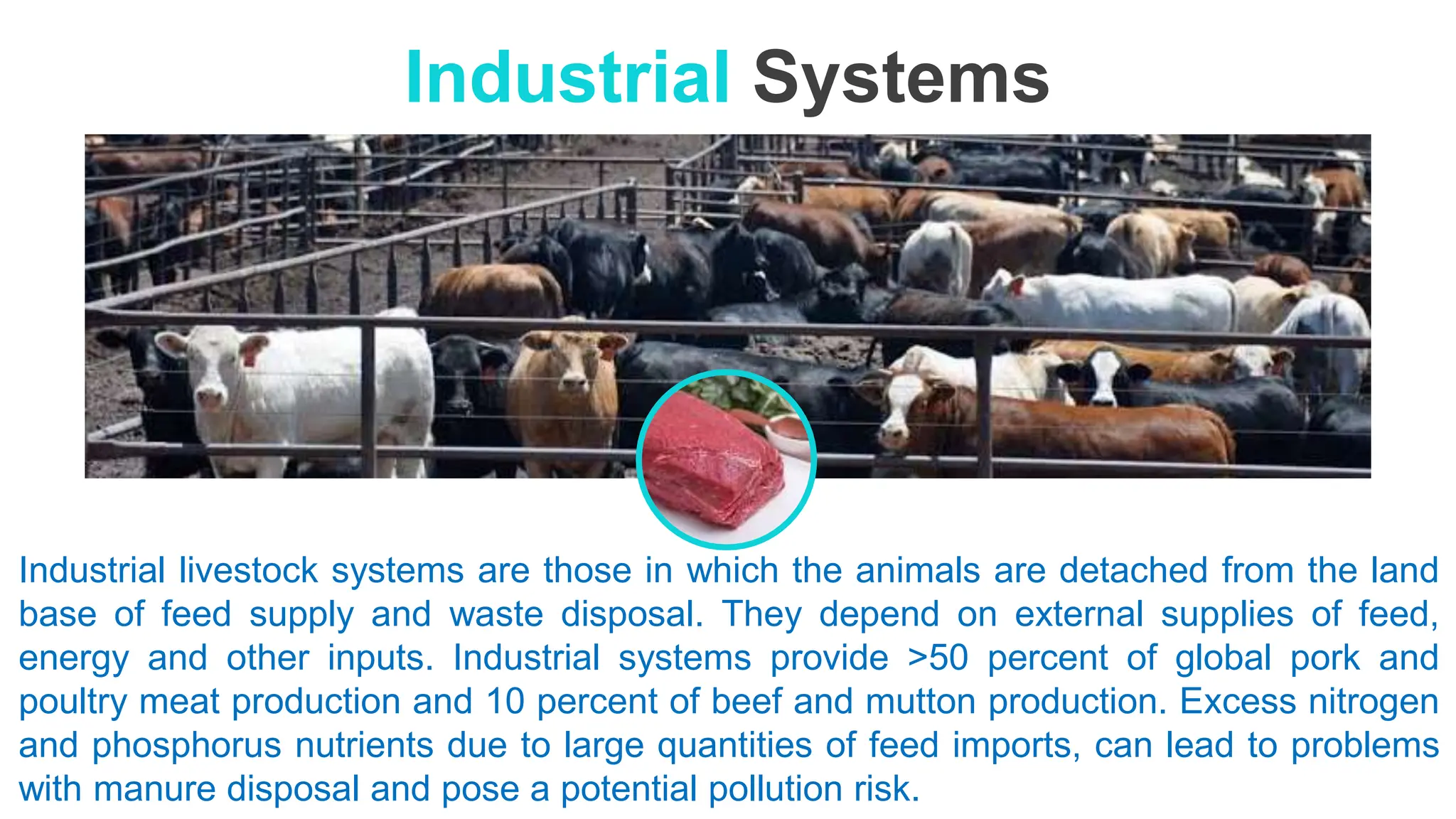 401 - Lecture No. 03 - Meat Production Systems.pptx | Agriculture ...