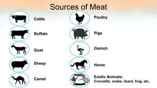 401 - Lecture No. 03 - Meat Production Systems.pptx | Agriculture ...