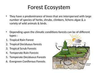Learn about ecology and the different types of ecosystem | PPT