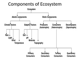Learn about ecology and the different types of ecosystem | PPT
