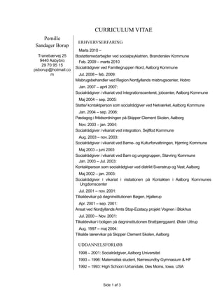 CV med faglige overvejelser | PDF