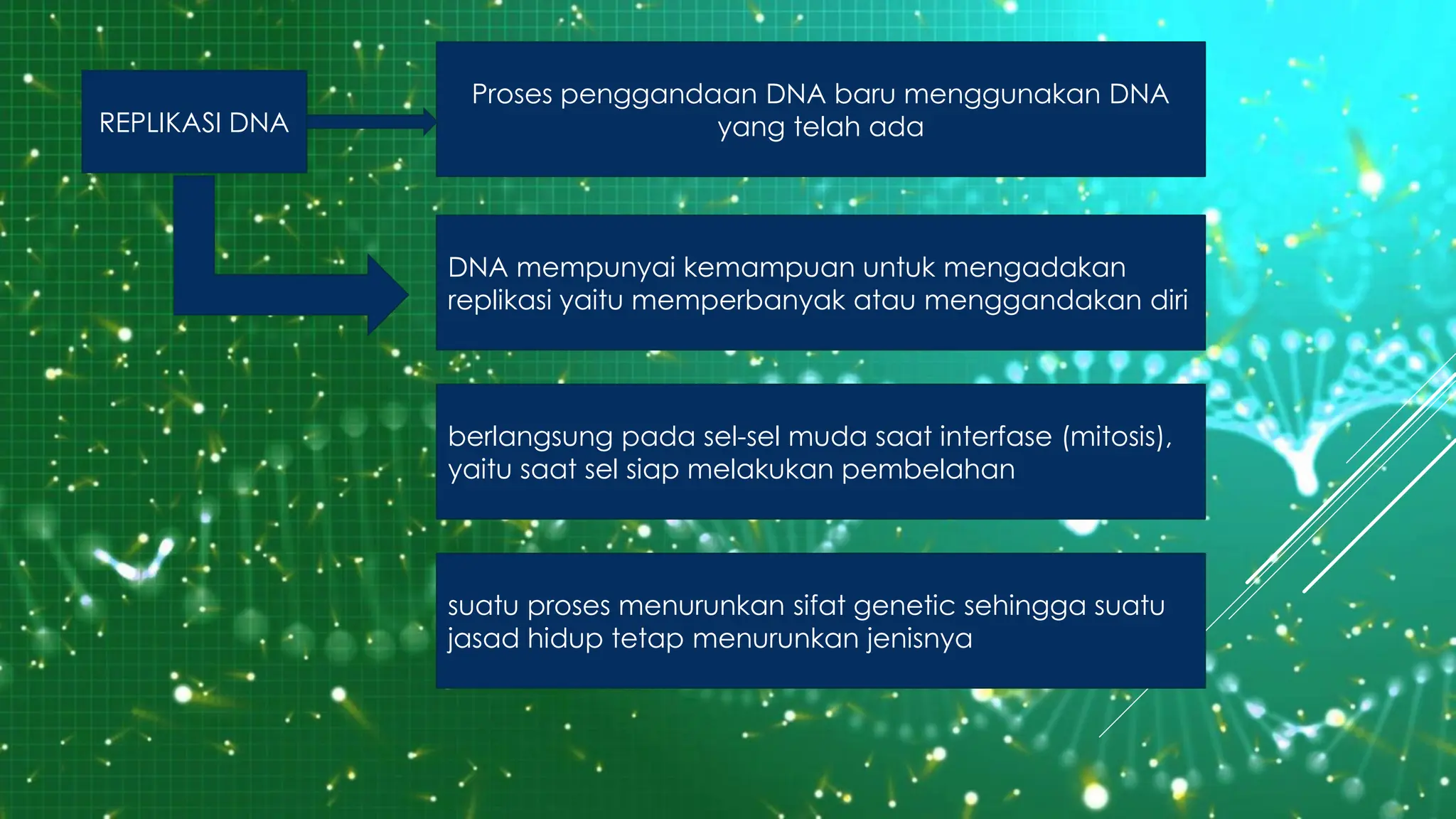 401851244-Power-Point-DNA-Replikasi-kelompok-8-pptx.pdf