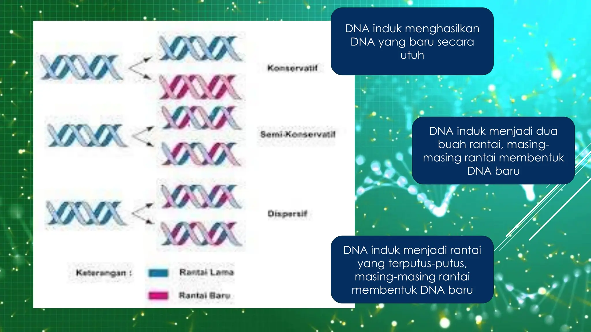 401851244-Power-Point-DNA-Replikasi-kelompok-8-pptx.pdf | Free Download