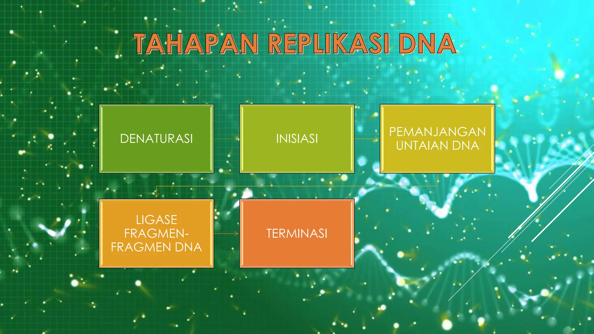 401851244-Power-Point-DNA-Replikasi-kelompok-8-pptx.pdf | Free Download