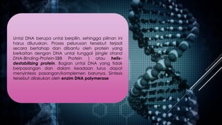 401851244-Power-Point-DNA-Replikasi-kelompok-8-pptx.pdf