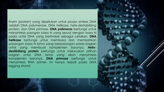 401851244-Power-Point-DNA-Replikasi-kelompok-8-pptx.pdf