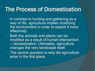 Agriculture and village life, Domestication of plants & animals | PPT