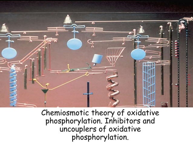4018766.ppt biological oxidation and ETC | PPT