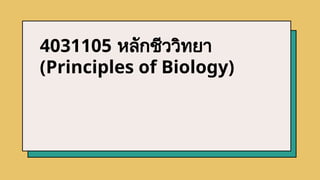 4031105 หลักชีววิทยา (Principles of Biology) - Copy.pptx