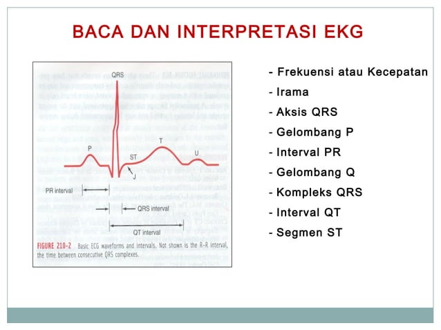 pengenalan-ekg-pati-ppt | PPT