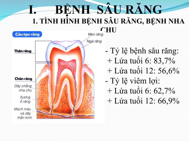 Bài Tuyên Truyền Chăm Sóc Sức Khỏe Răng Miệng Cho Học Sinh | PDF