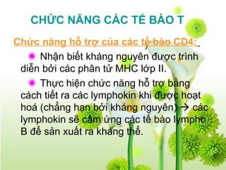 Bài Thuyết Trình Hệ Thống Miễn Dịch Của Cơ Thể | PDF