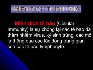 Bài Thuyết Trình Hệ Thống Miễn Dịch Của Cơ Thể | PDF