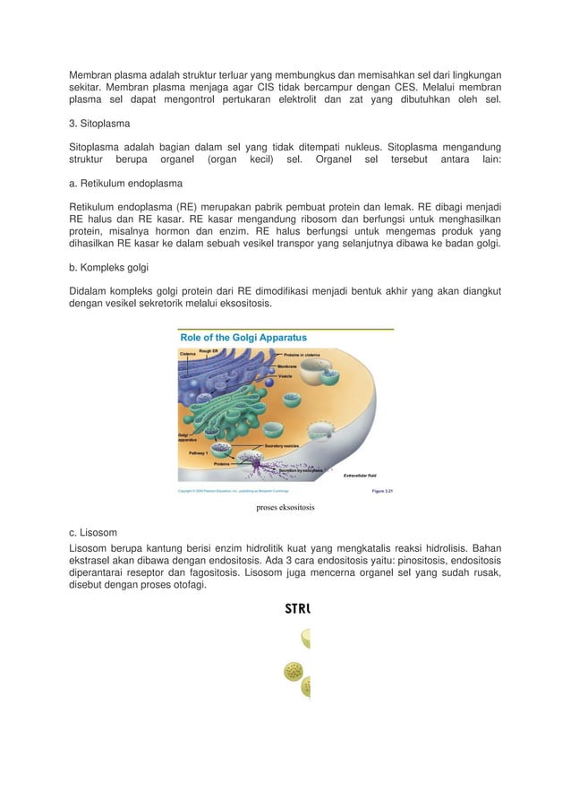 403426645-Struktur-Sel-Manusia-docx.docx