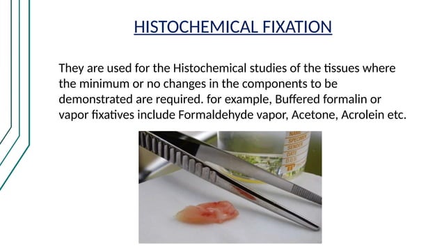 TISSUE FIXATION micro anatomical, histological, cytological | PPT