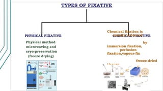 TISSUE FIXATION micro anatomical, histological, cytological | PPT