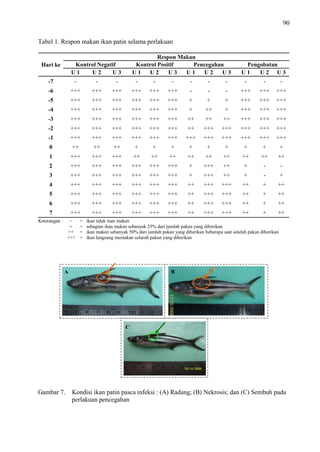 PERTUMBUHAN DAN KELANGSUNGAN HIDUP LOBSTER CAPIT MERAH Cherax ...