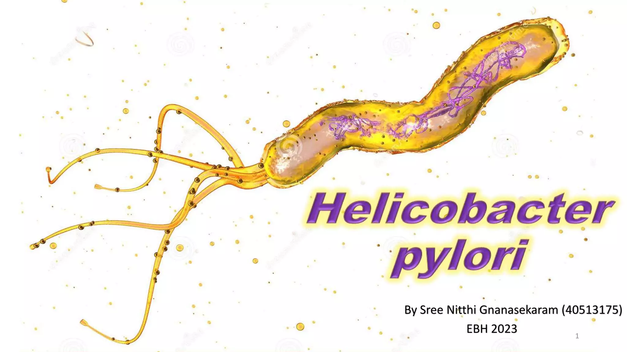 40513175_ebh 2023_MIC09800_helicobacter pylori ppt..pptx