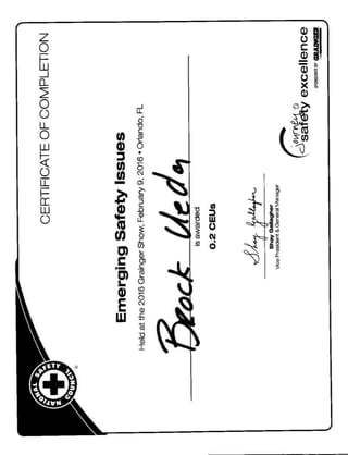 Emerging Safety Issues | PDF