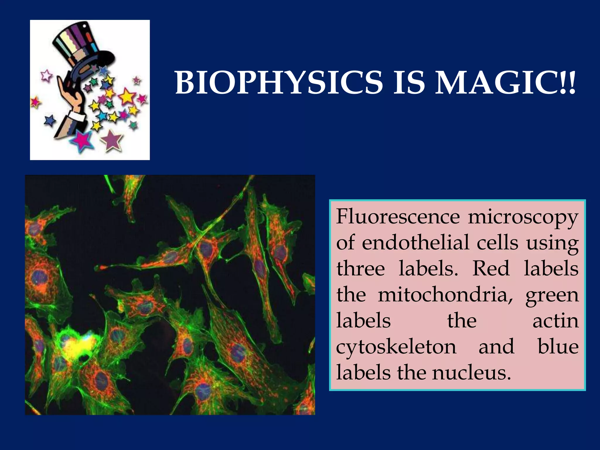 405355421-CHAPTER-1-INTRODUCTION-TO-BIOPHYSICS-pptx.pptx
