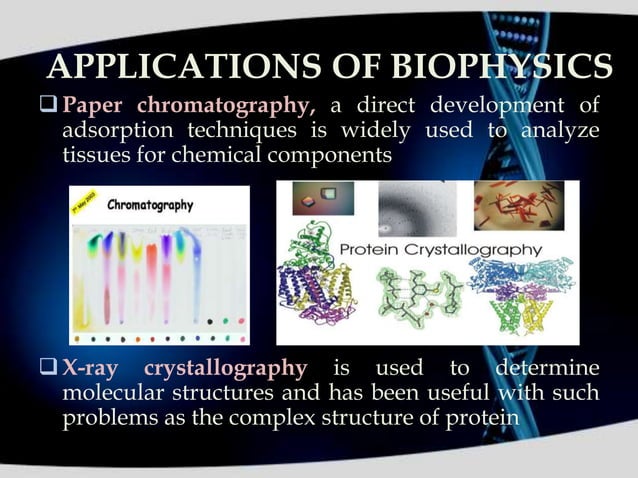 405355421-CHAPTER-1-INTRODUCTION-TO-BIOPHYSICS-pptx.pptx | Biological ...