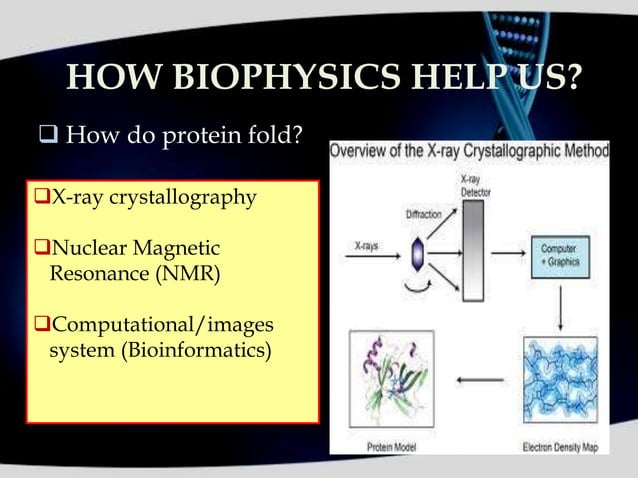 405355421-CHAPTER-1-INTRODUCTION-TO-BIOPHYSICS-pptx.pptx | Biological ...