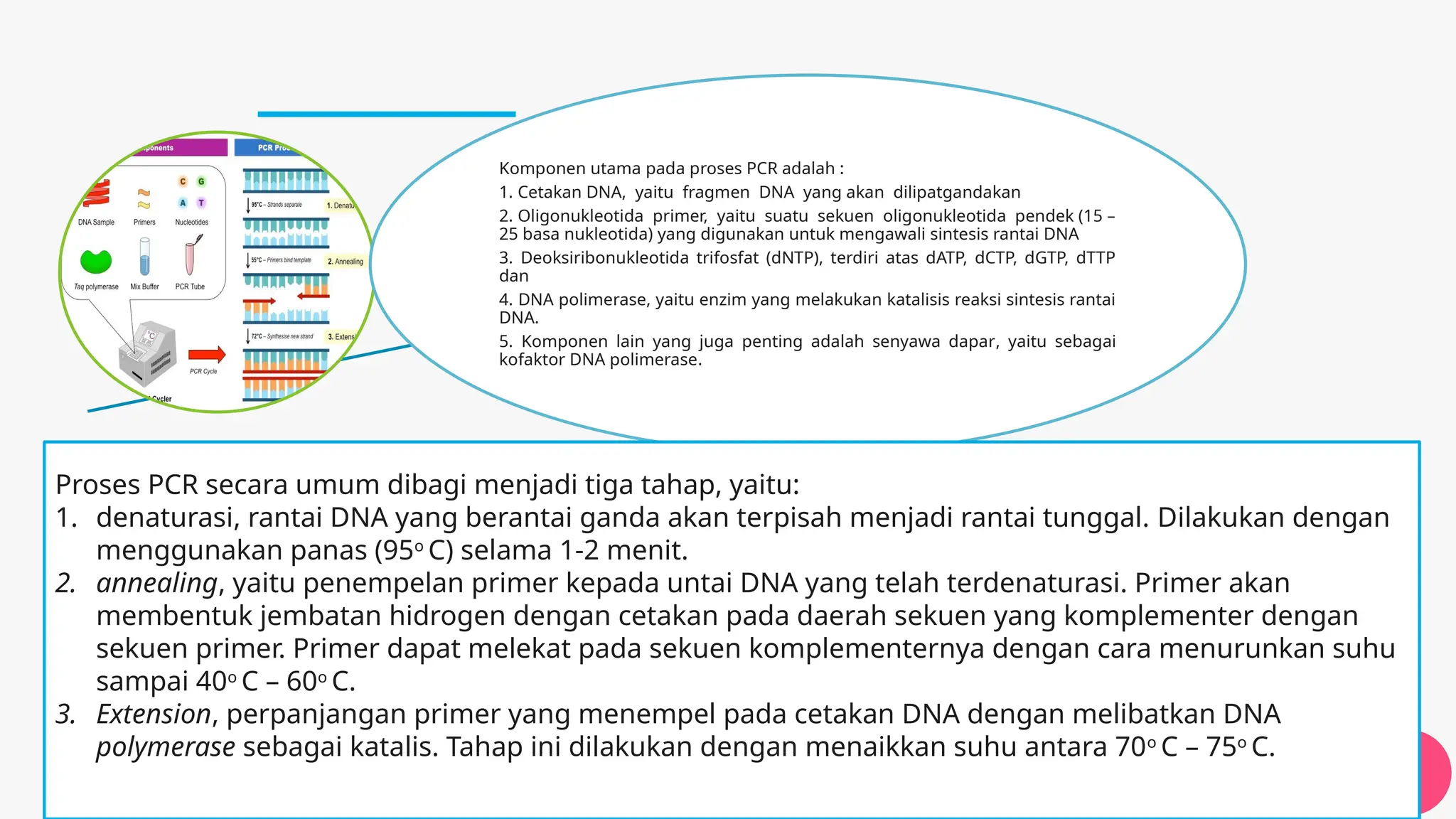405412228-10185-PPT-PCR-pptx.pptx SSSSSSSSSSSSSSSSSS | PPTX