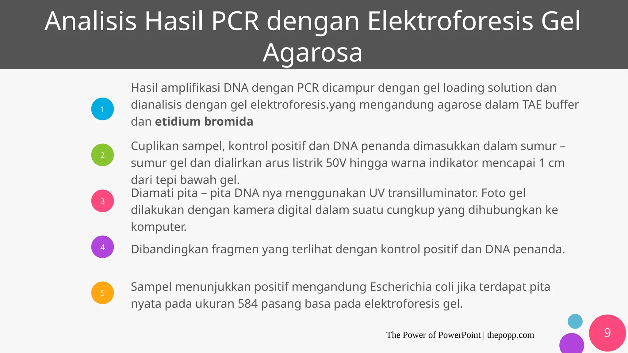 405412228-10185-PPT-PCR-pptx.pptx SSSSSSSSSSSSSSSSSS | PPTX