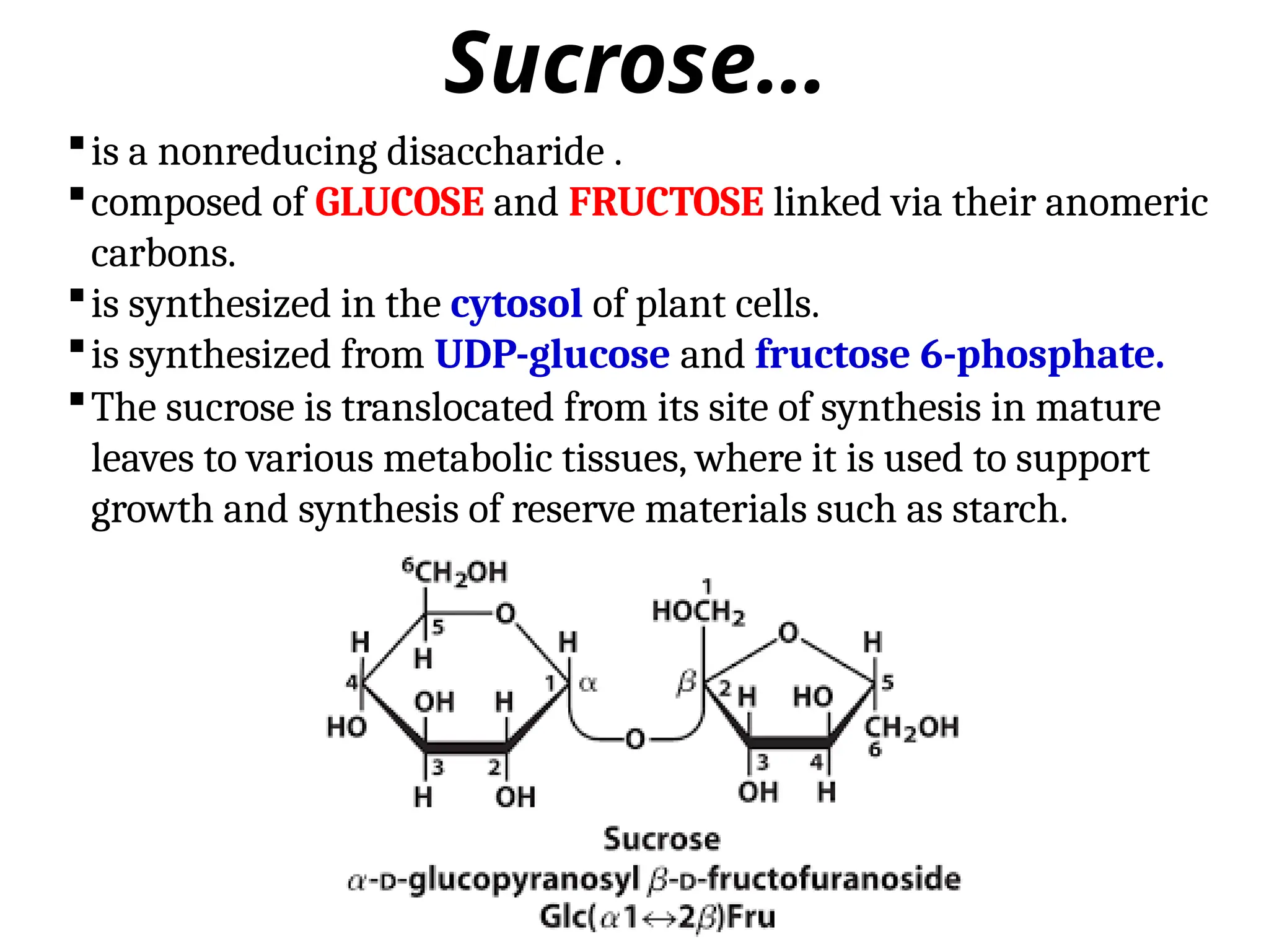 Starch-and-Sucrose-metabolism-ppptx.pptx