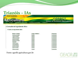 FUNGICIDAS (Trazóis, Estrobirulina e Carboxamidas) | PPT