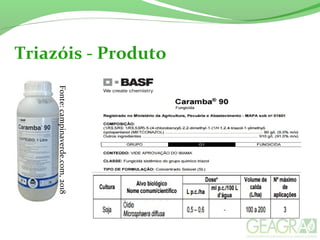 FUNGICIDAS (Trazóis, Estrobirulina e Carboxamidas) | PPT