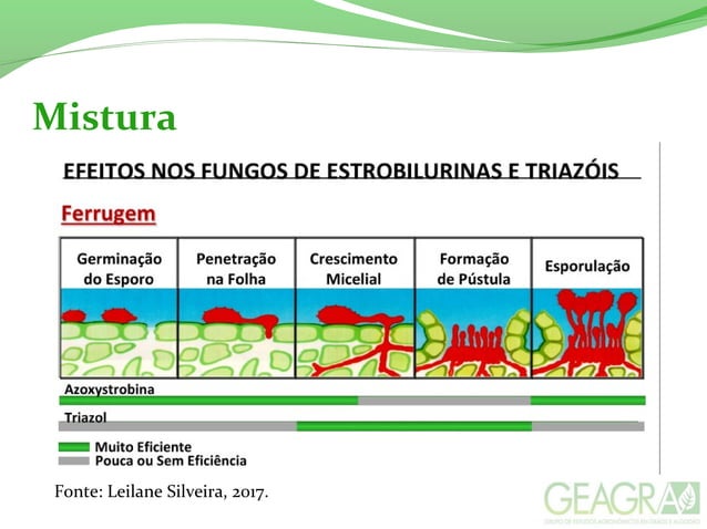 FUNGICIDAS (Trazóis, Estrobirulina e Carboxamidas)