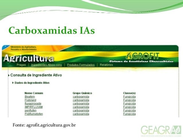 FUNGICIDAS (Trazóis, Estrobirulina e Carboxamidas)